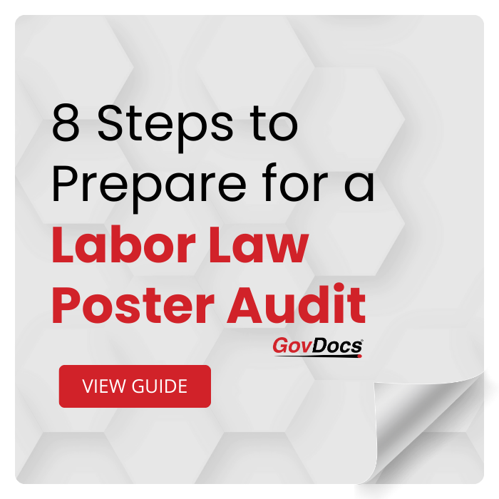 Labor Law Poster Auditing Kit