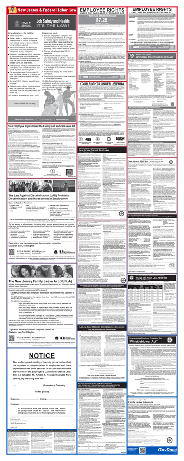 Product: New Jersey and Federal Combined Poster Kit